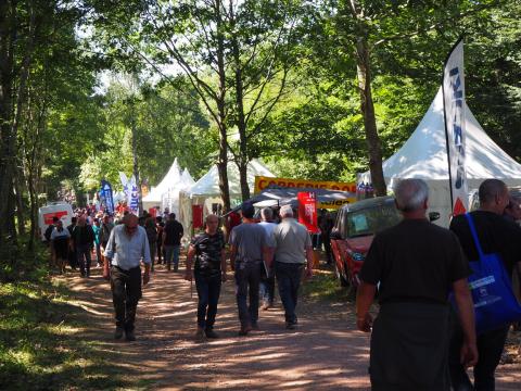 Interview de M. Nicolas Jobin de l'UCFF | Euroforest